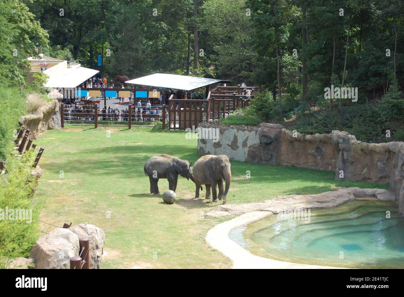 National Zoo Elephant Exhibit