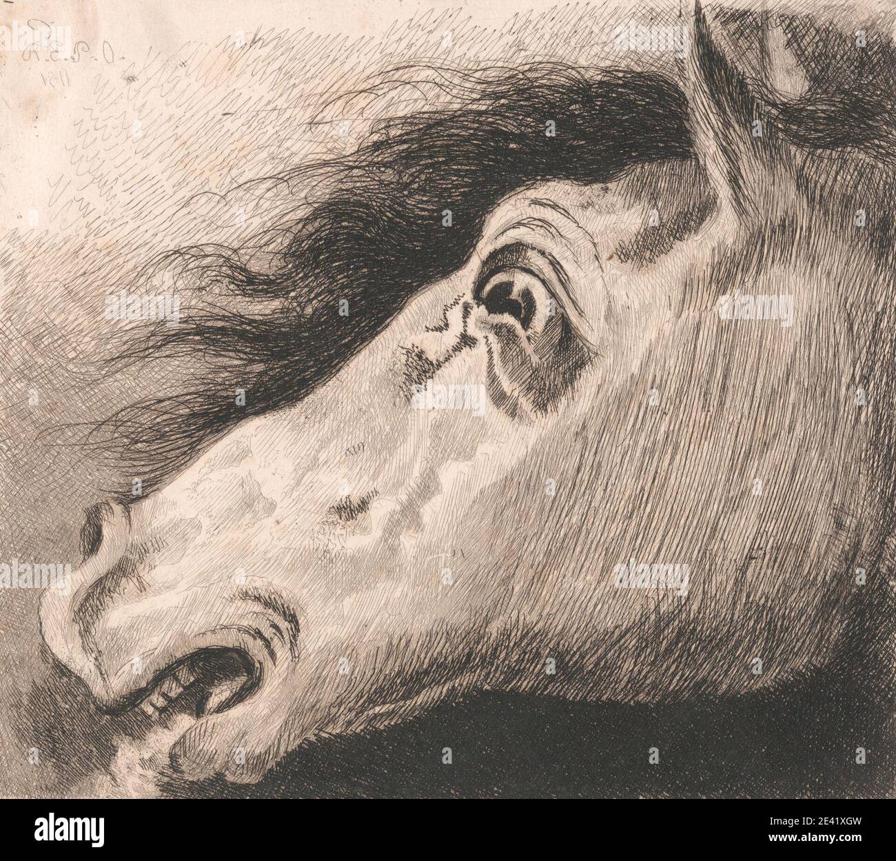 Edward Pryce Owen, 1788â€“1863, British, Head of a Horse. Etching Stock ...