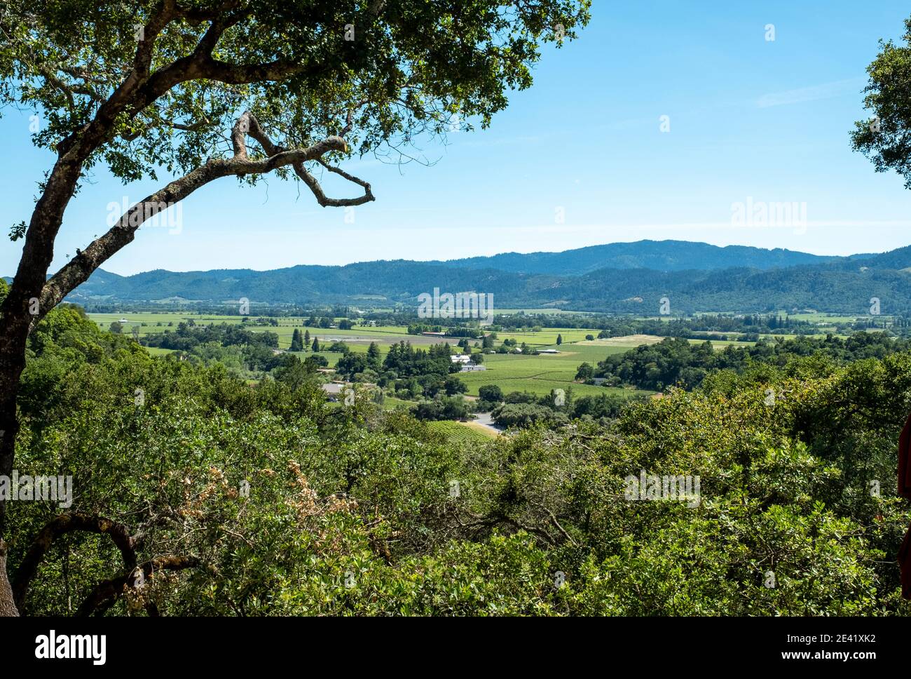 View of vineyards from the Rutherford Hills winery, Nap Valley Northern ...