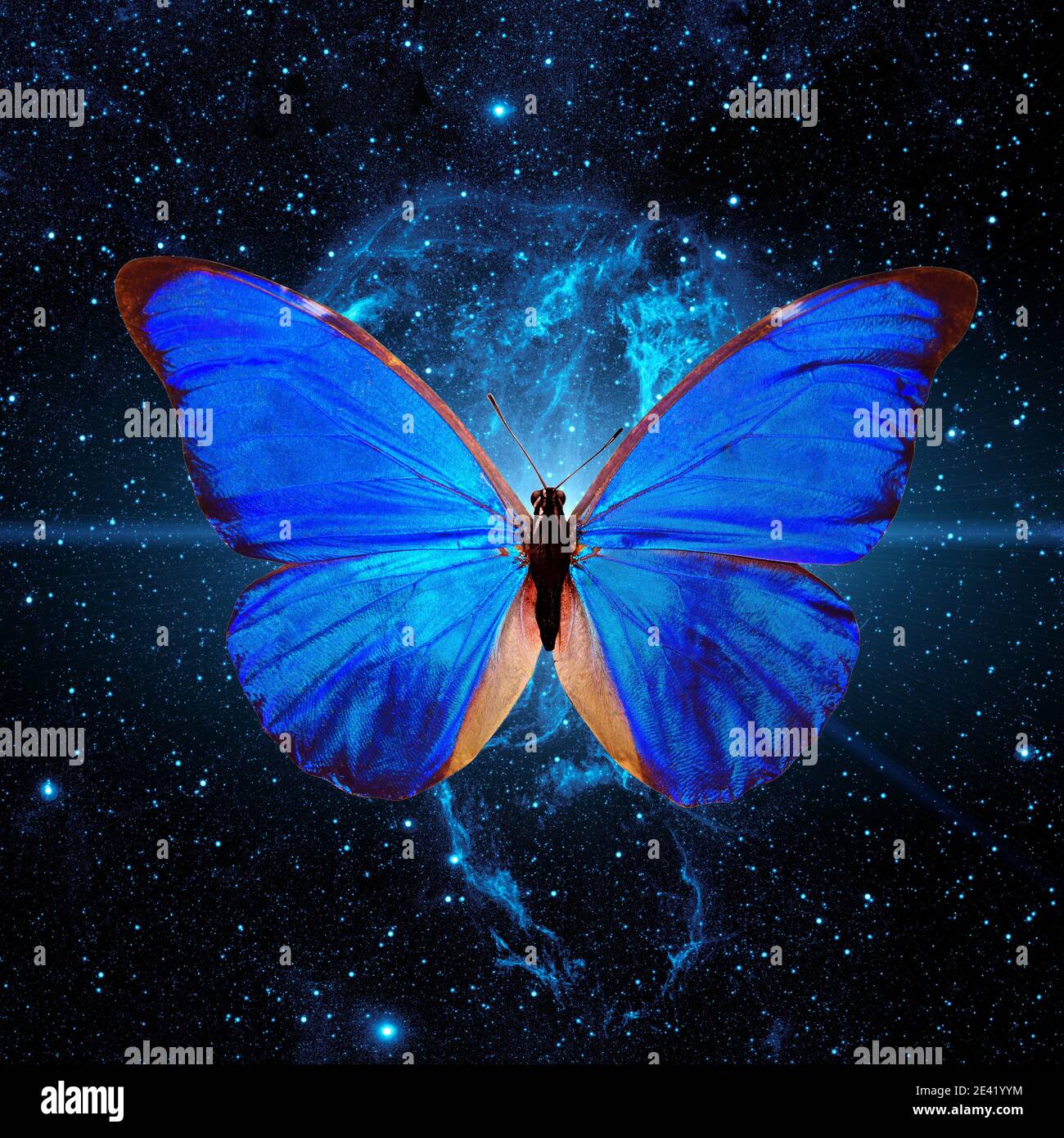 blue butterfly on a background of the starry sky. Elements of this ...
