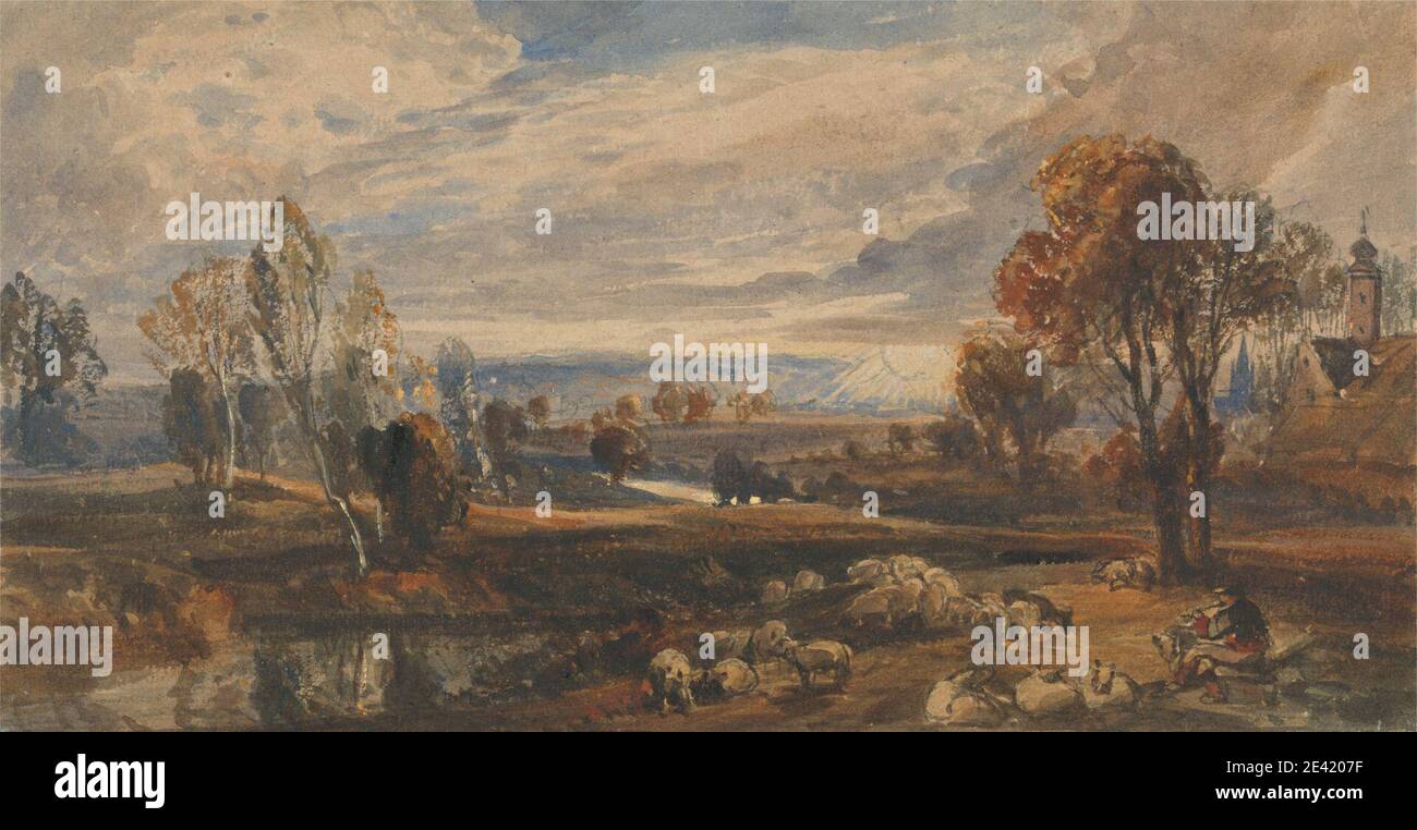 Gum arabic trees hi-res stock photography and images - Alamy