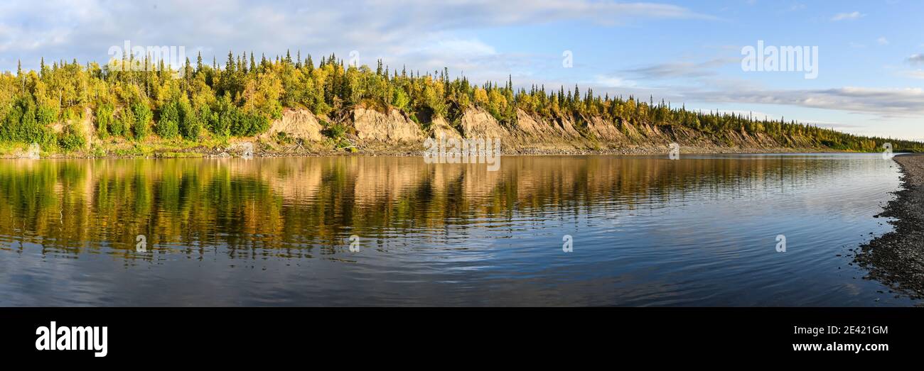 Panorama of the northern taiga river. Summer water landscape of the ...