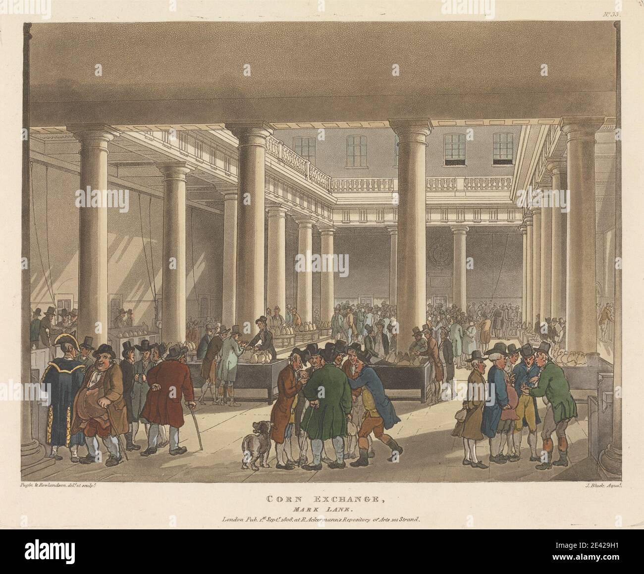 John bluck hi-res stock photography and images - Alamy