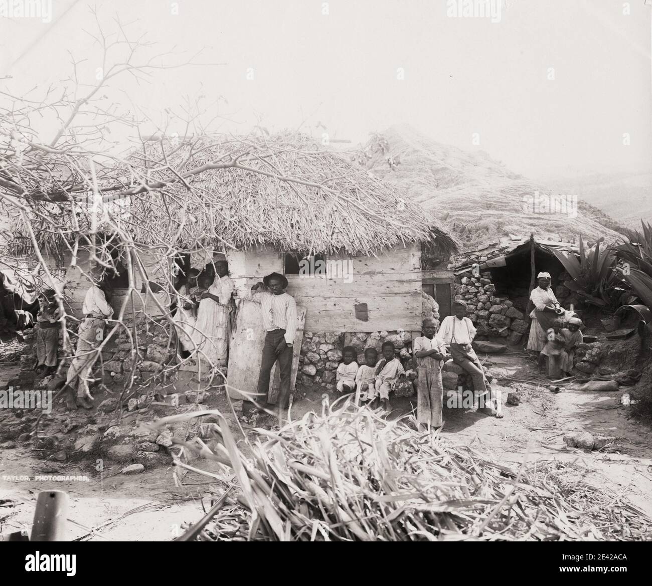 Vintage 19th century photograph: Barbados, West Indies, sugar plantation workers, stack of sugar ...