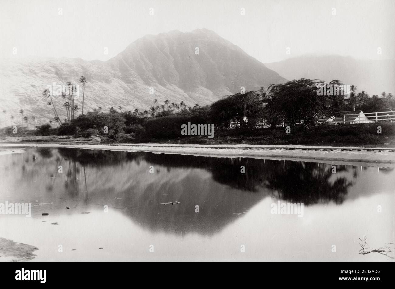 Vintage 19th century photograph: Kaʻala or Mount Kaʻala in Hawaii is ...