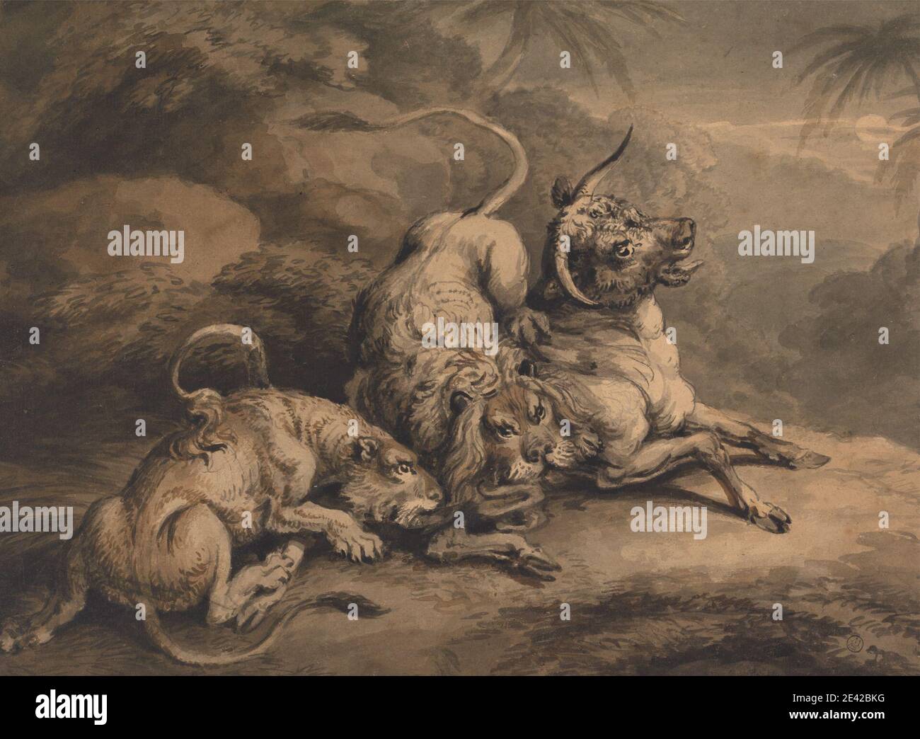 Lioness attacking lion hi-res stock photography and images - Alamy