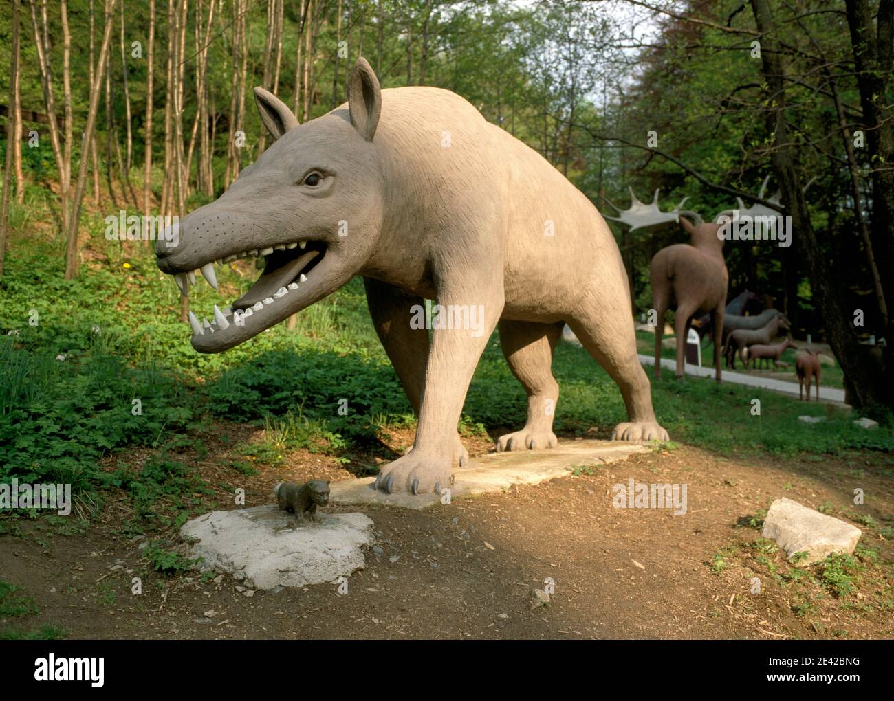 Exponat hi-res stock photography and images - Alamy