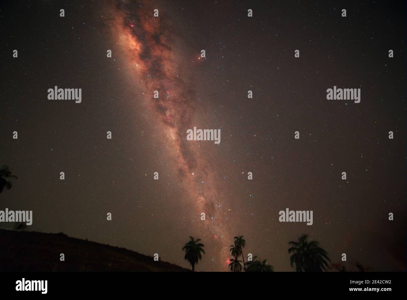 Milky way and trees Stock Photo - Alamy
