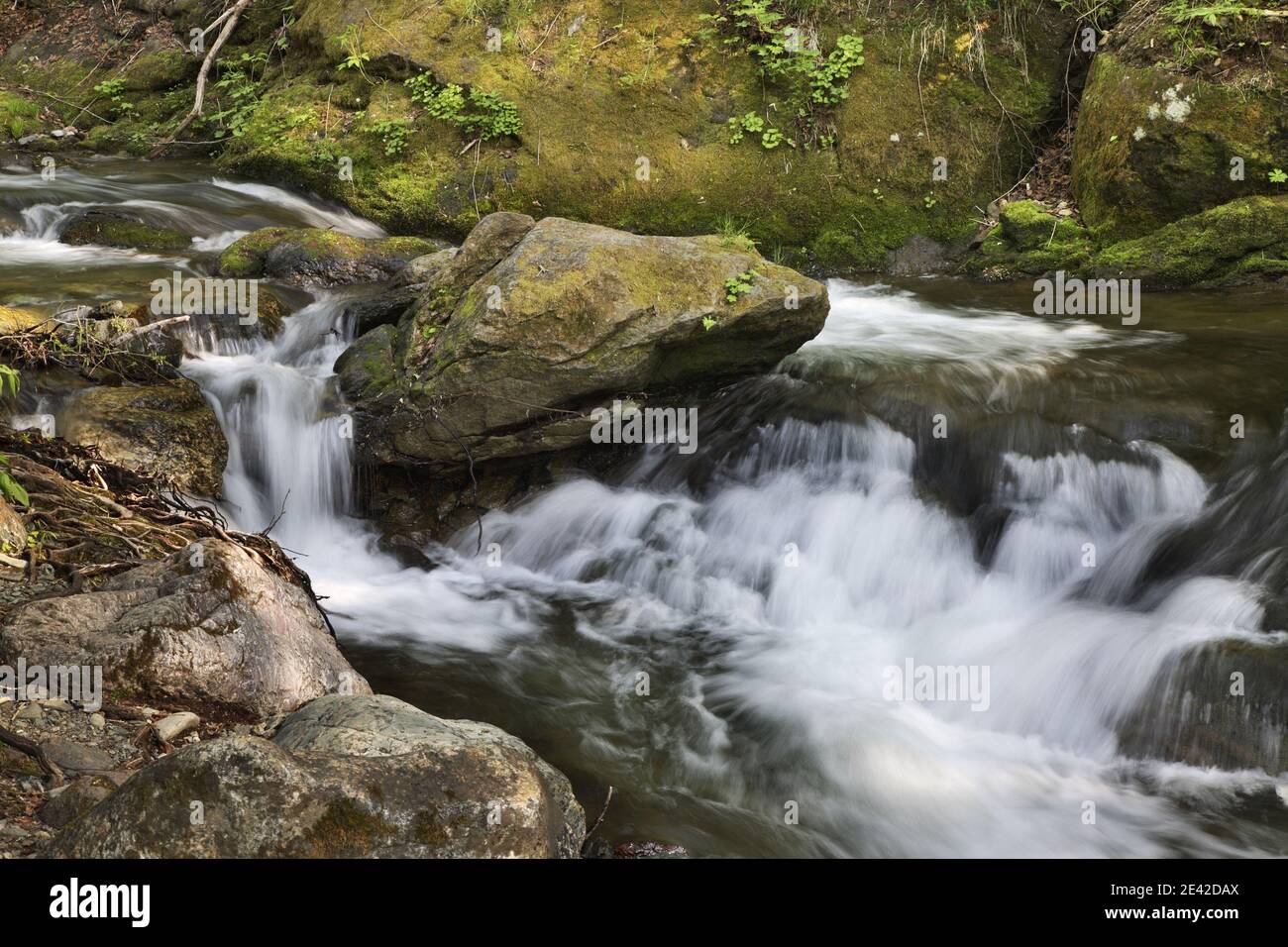Sakhalin River Landscape High Resolution Stock Photography and Images ...
