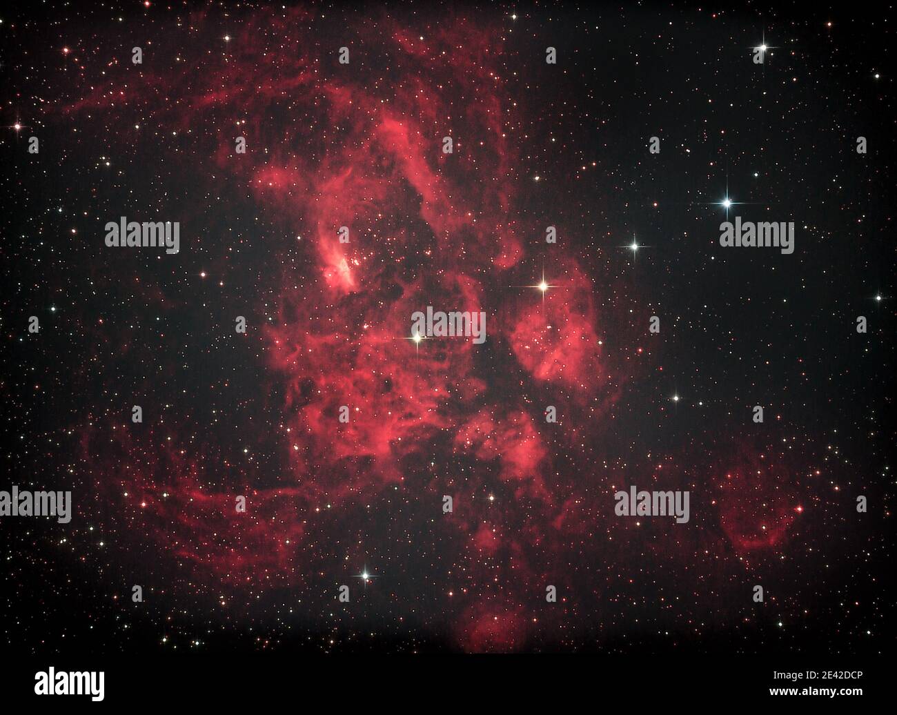 Lobster nebula hi-res stock photography and images - Alamy