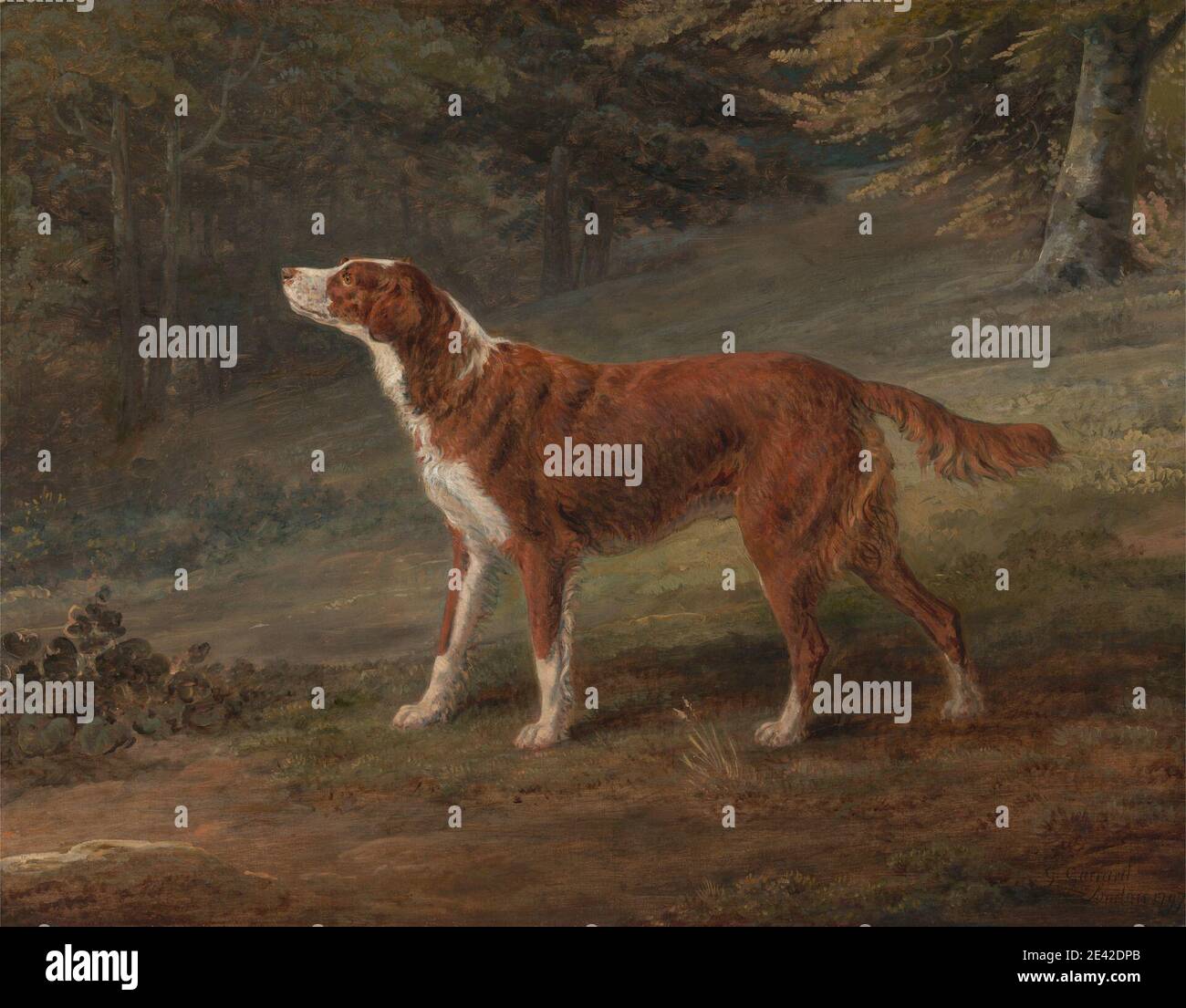 George Garrard, 1760â€“1826, British, Ranger, a setter, the property of ...