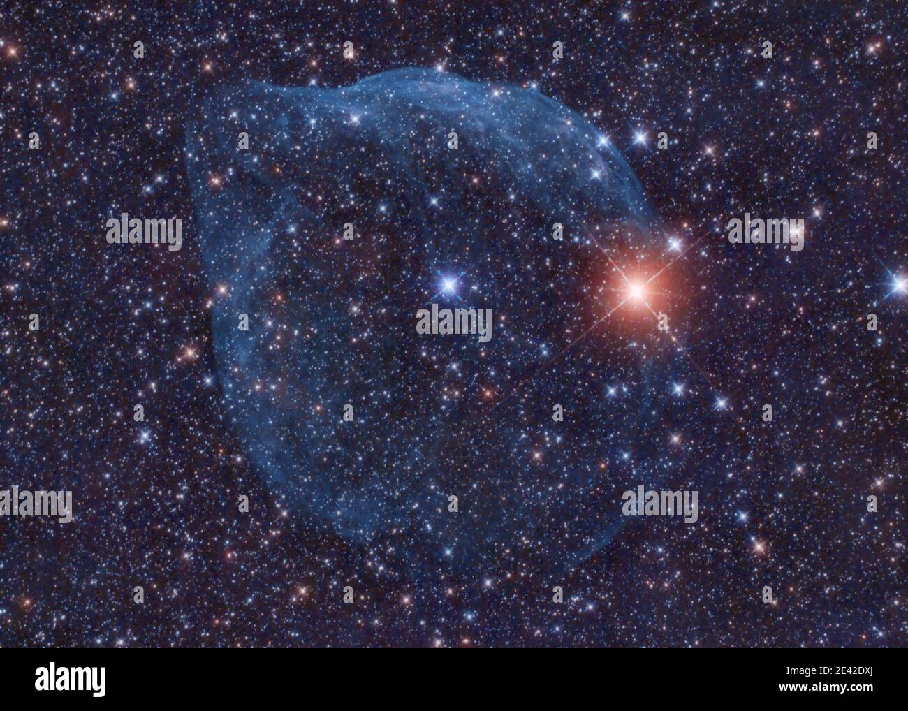 Dolphin constellation hi-res stock photography and images - Alamy