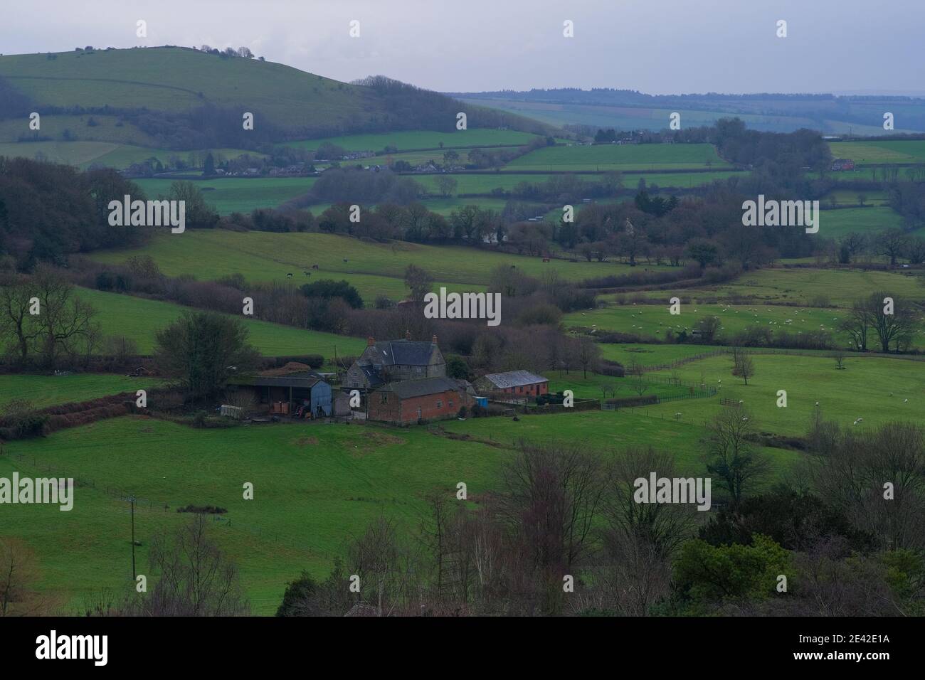 Aerial view of houses in a village with green fields in a countryside ...