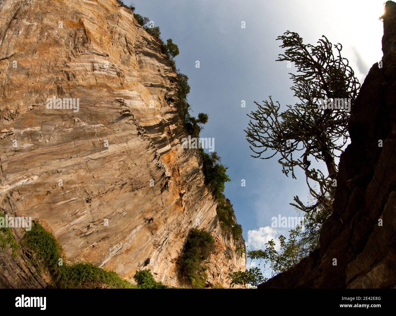 Limestone reef hill hi-res stock photography and images - Alamy