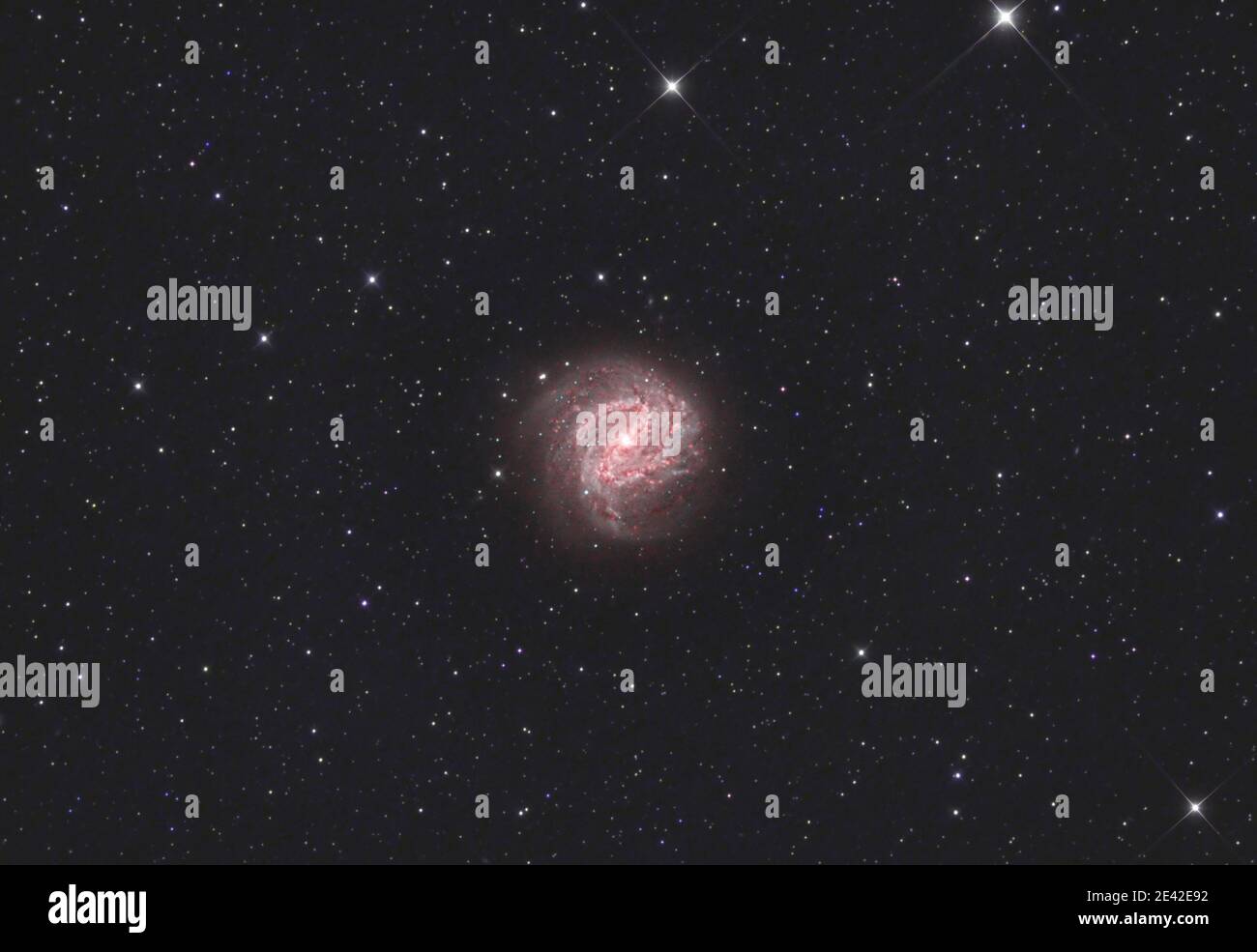 Southern pinwheel hi-res stock photography and images - Alamy