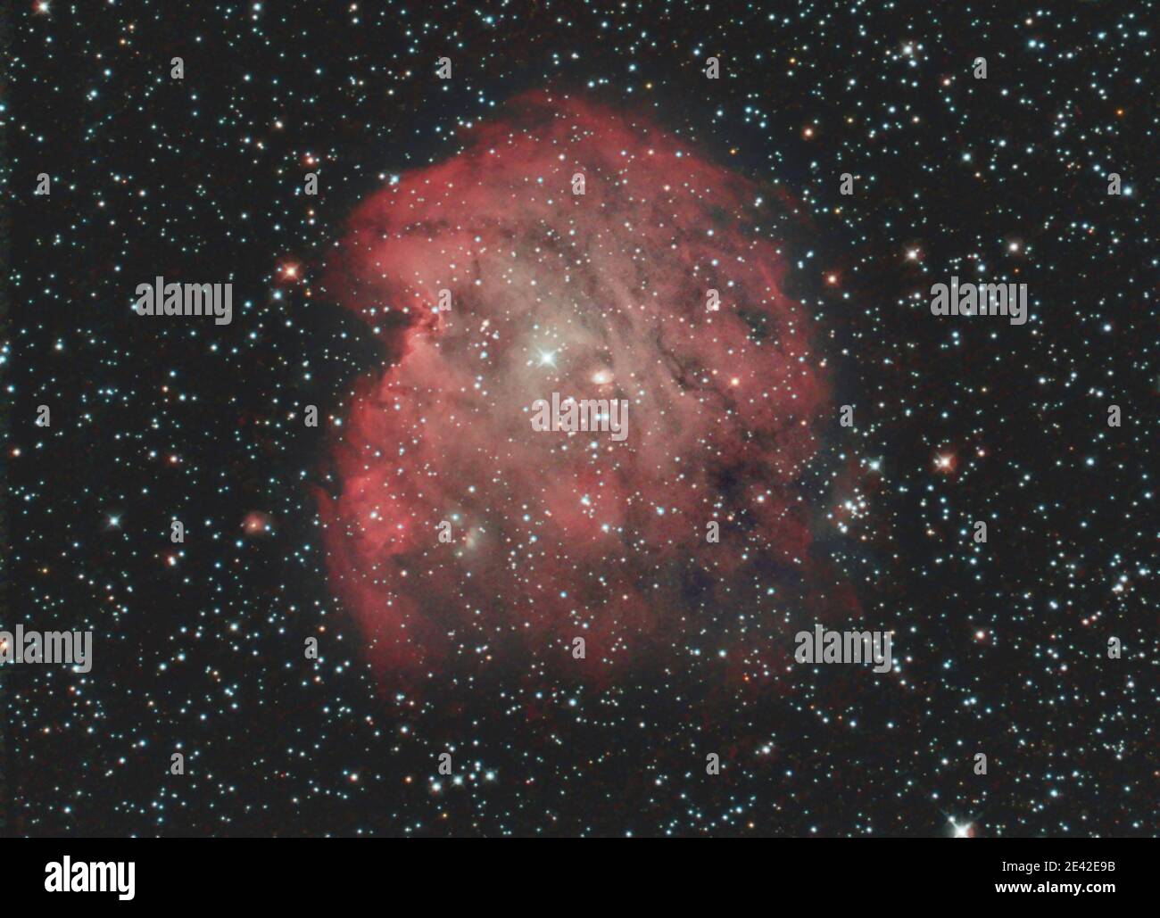 Monkey Head Nebula Stock Photo - Alamy