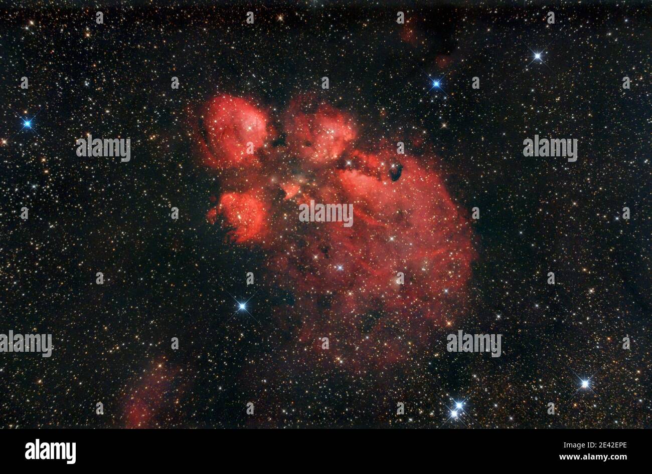 Cat paw nebula hi-res stock photography and images - Alamy