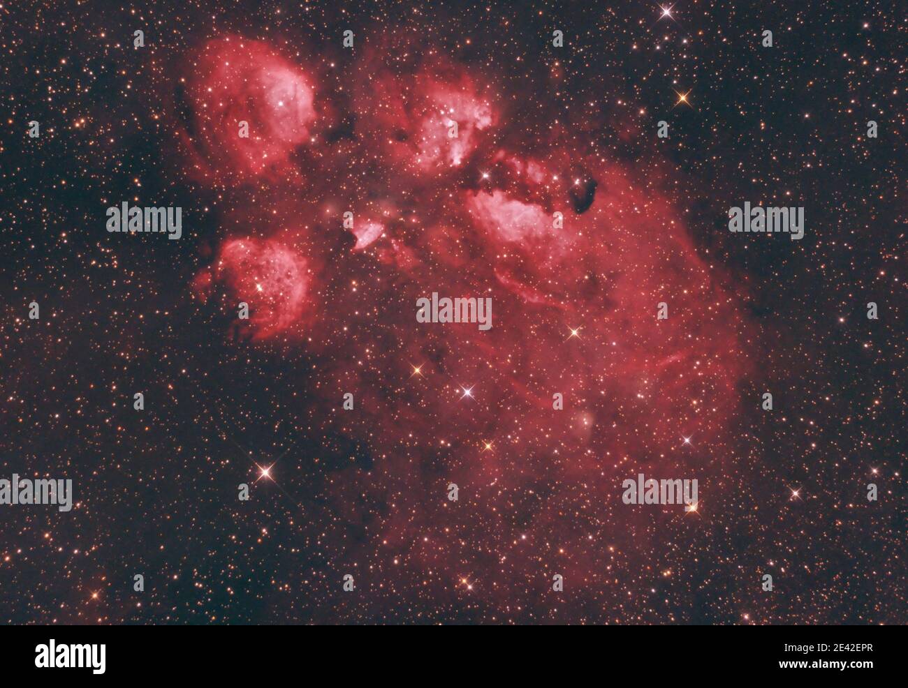 Cat Paw Nebula Stock Photo - Alamy
