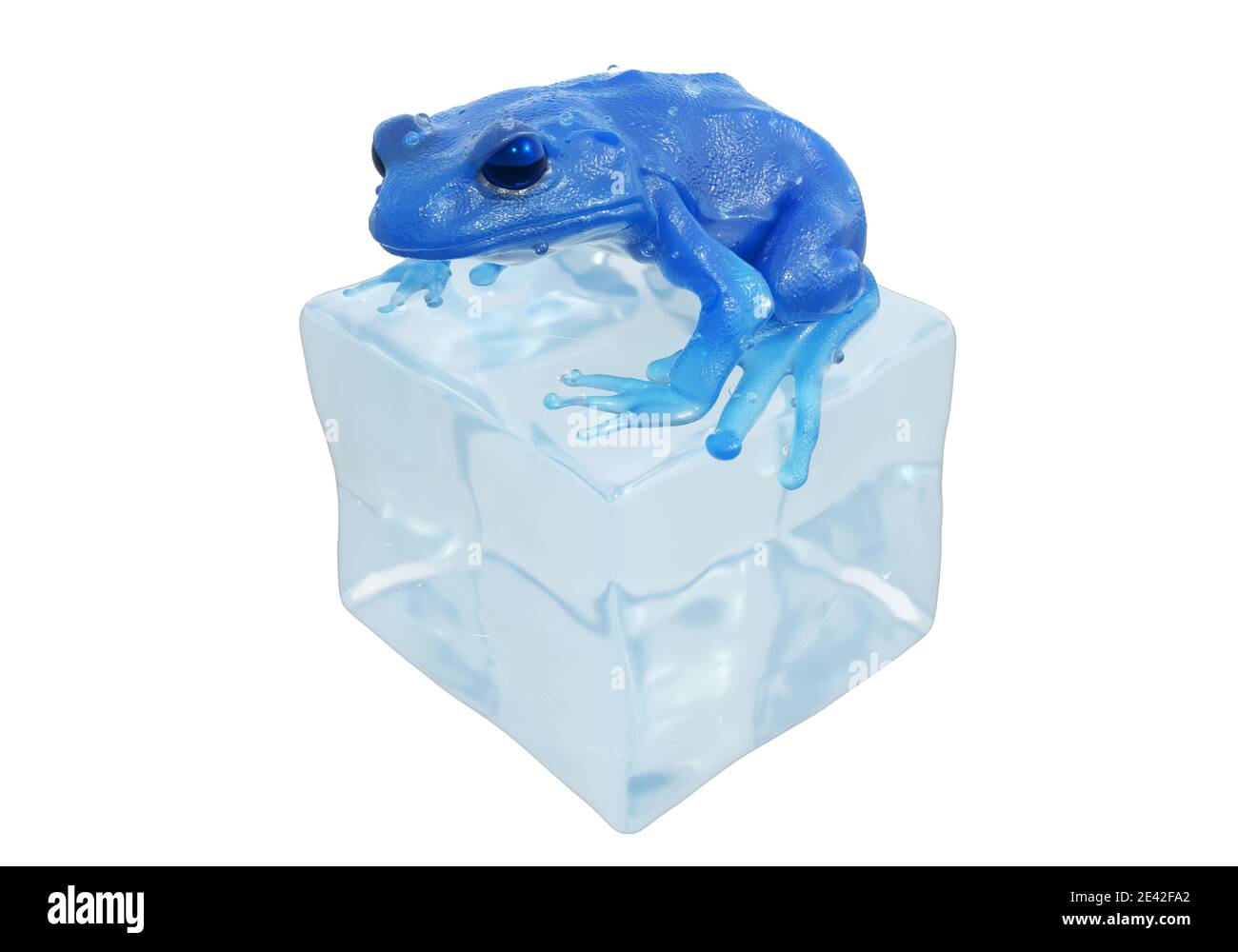 Blue frog on ice cube Stock Photo - Alamy