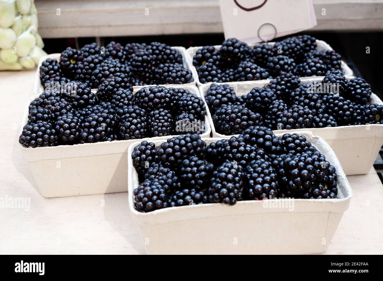 Containers of fresh blackberries at a farmers market Stock Photo - Alamy