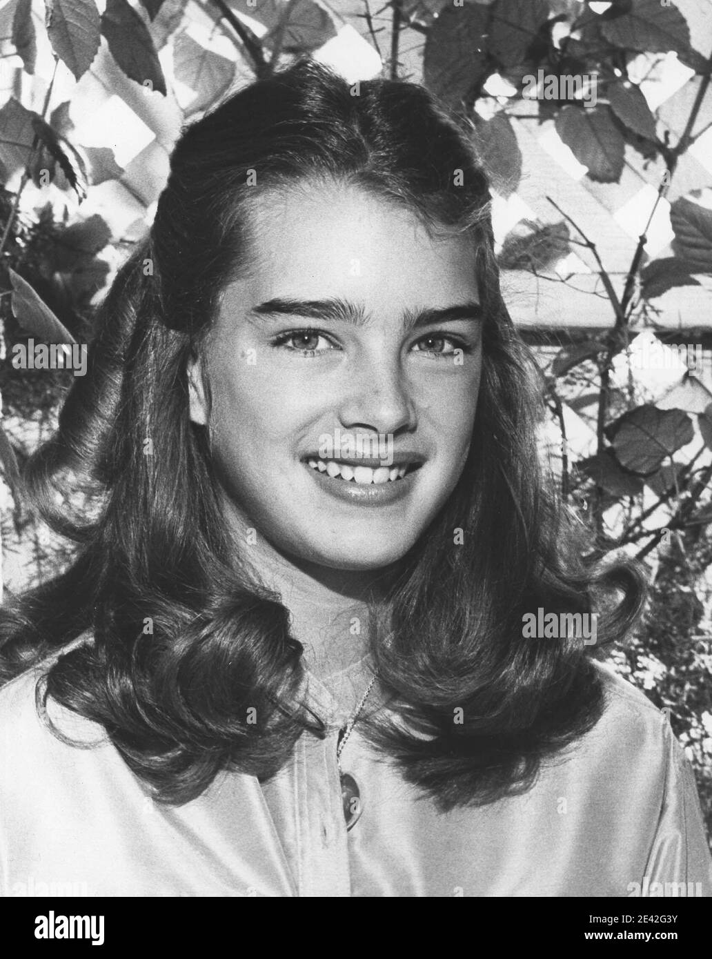 Brooke Shields Credit: Ralph Dominguez/MediaPunch Stock Photo - Alamy