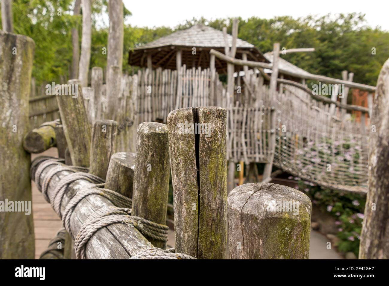 Tree house rope bridge hi-res stock photography and images - Alamy