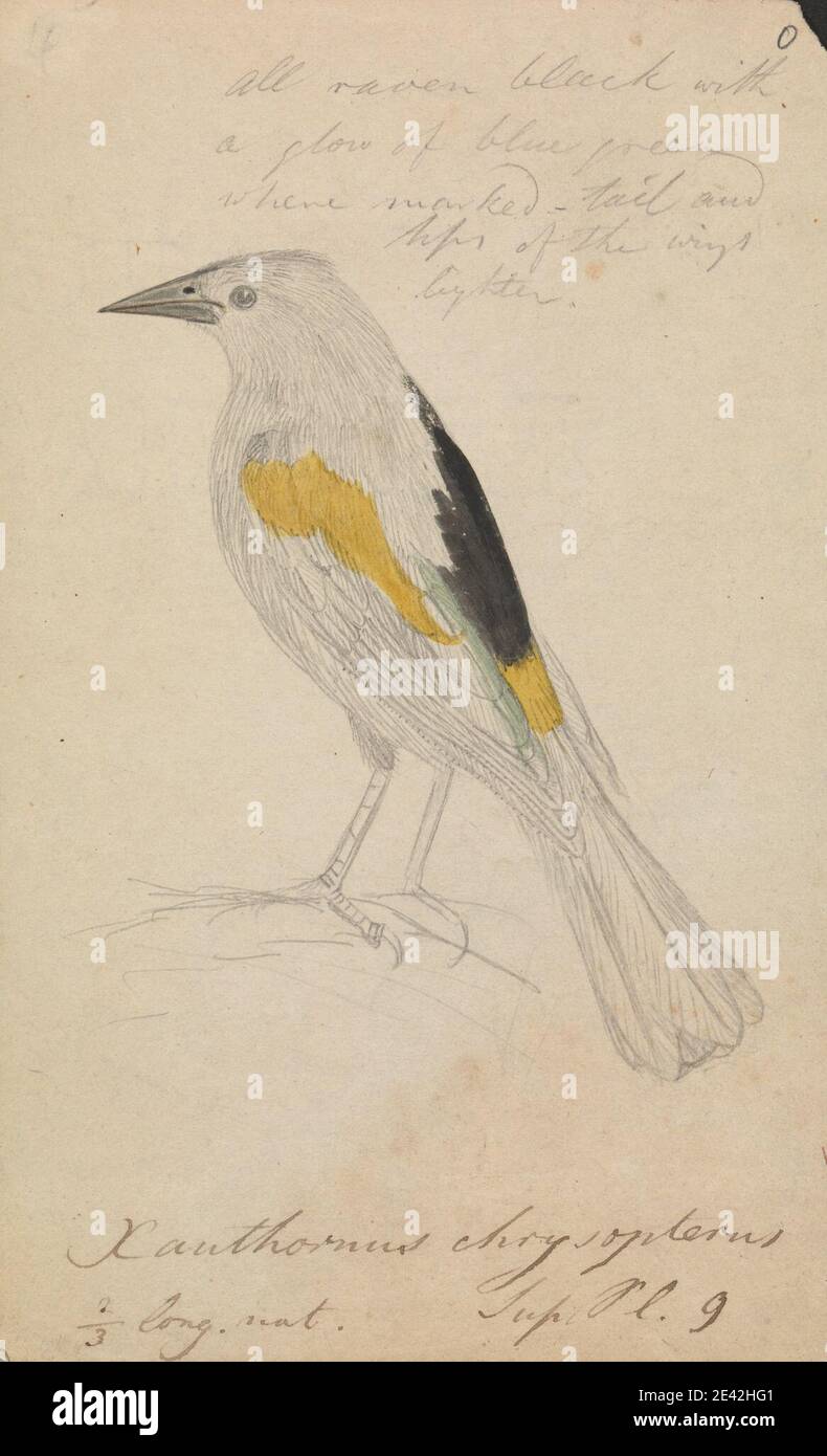 Graphite on thin yellow paper hi-res stock photography and images - Alamy