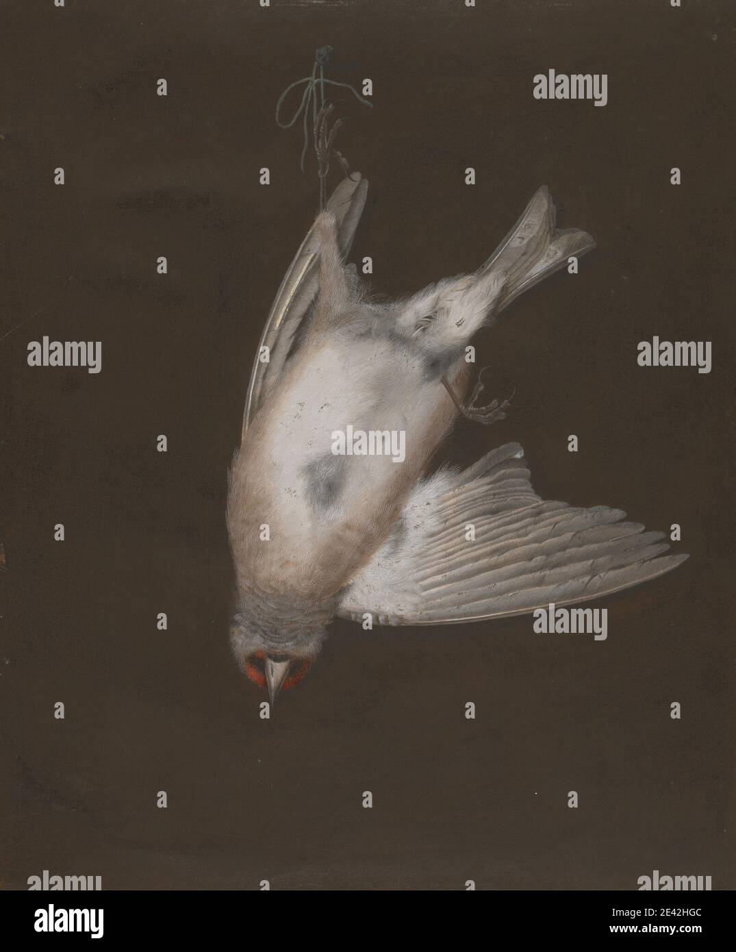 Snare traps hi-res stock photography and images - Alamy