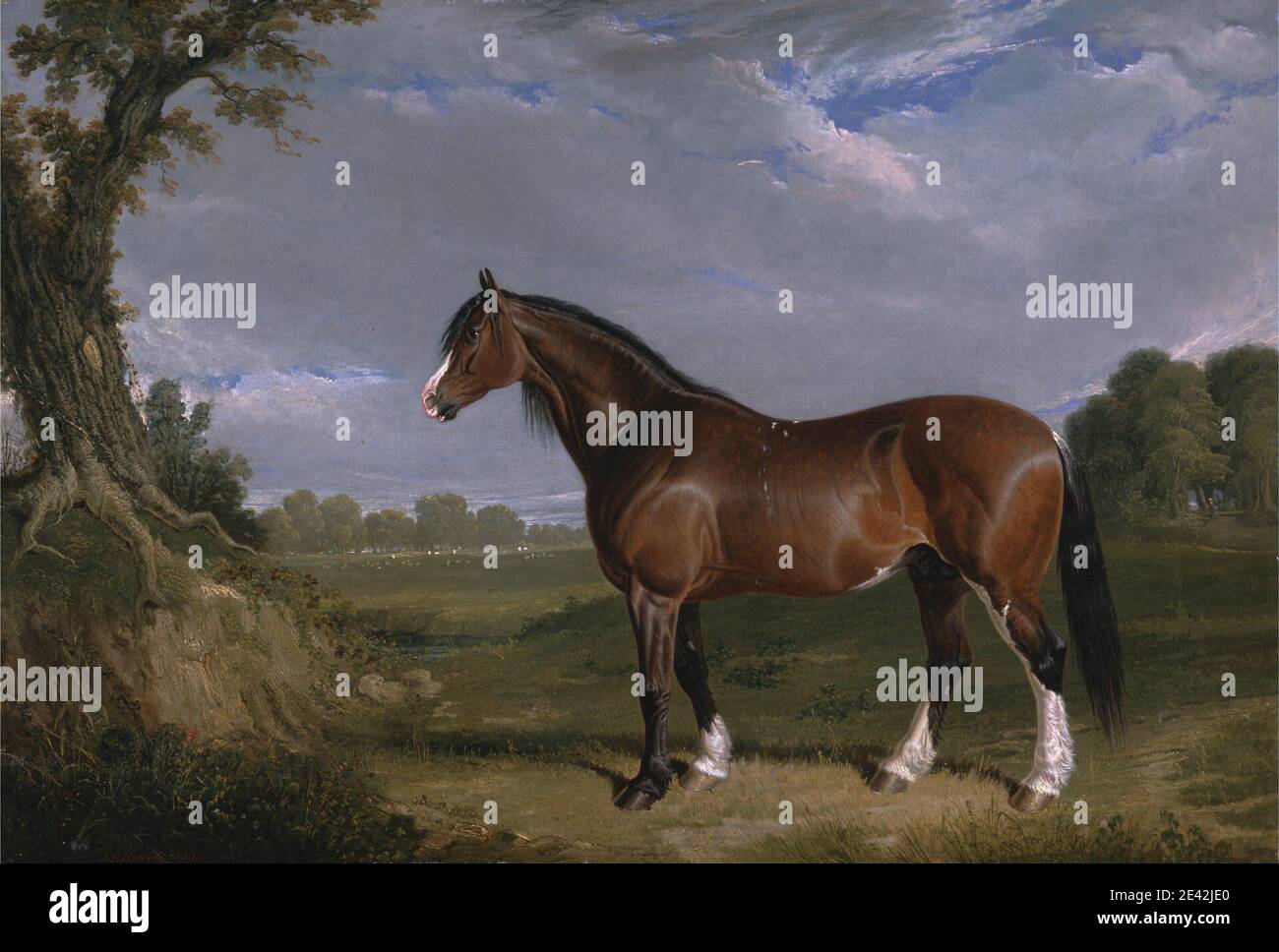 John Frederick Herring, 1795â€“1865, British, A Clydesdale Stallion ...
