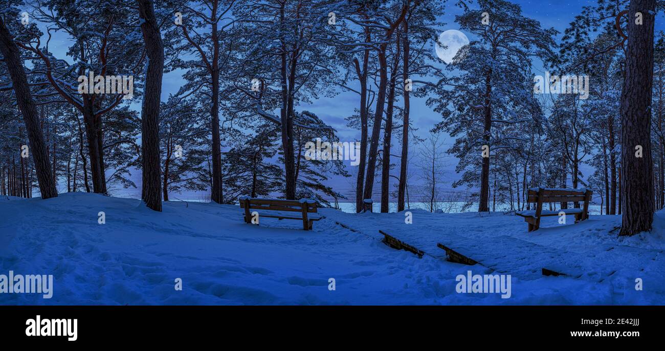 Night scene in forest hi-res stock photography and images - Alamy