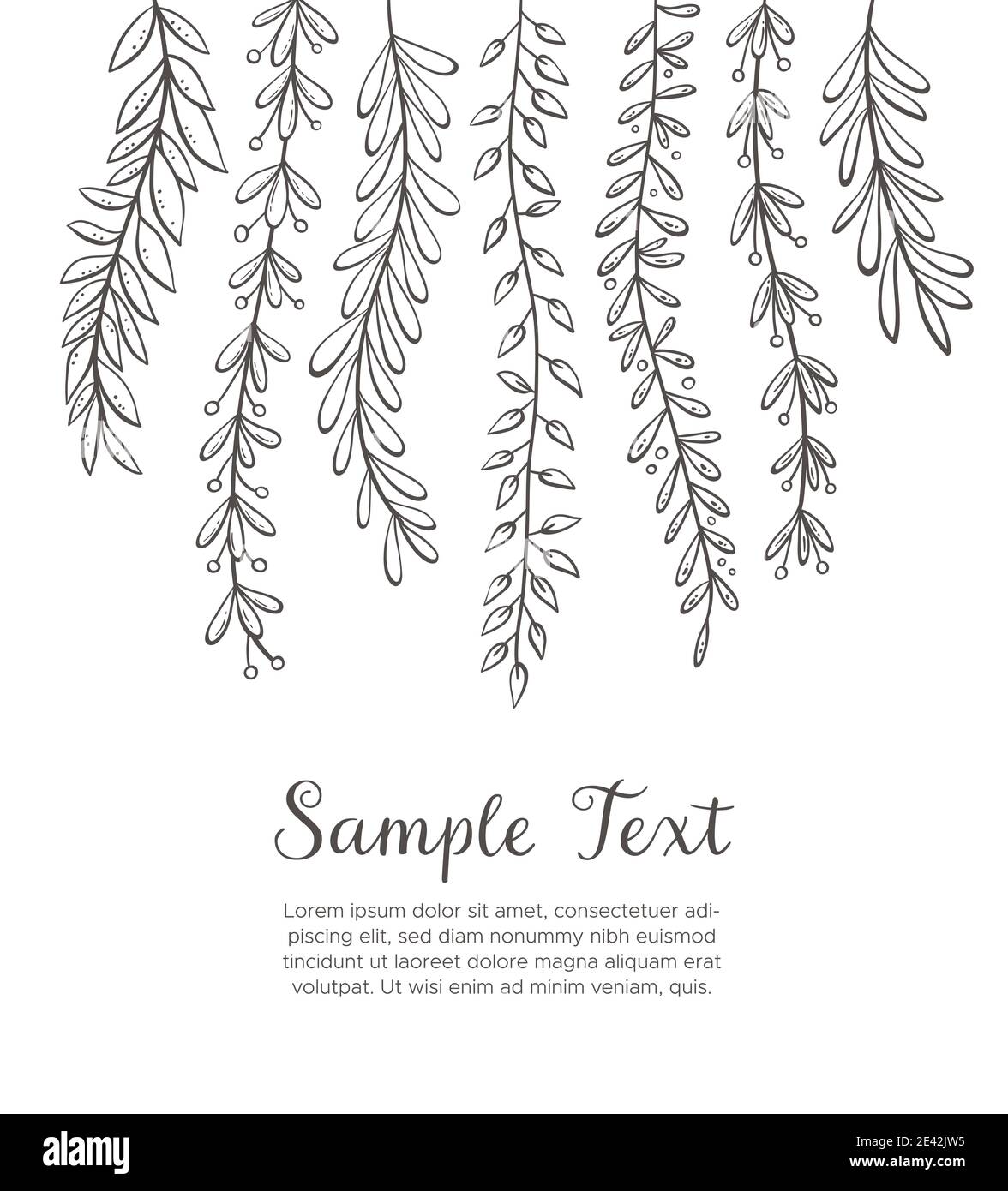 Dangling plants background. Hand drawn floral background isolated on ...
