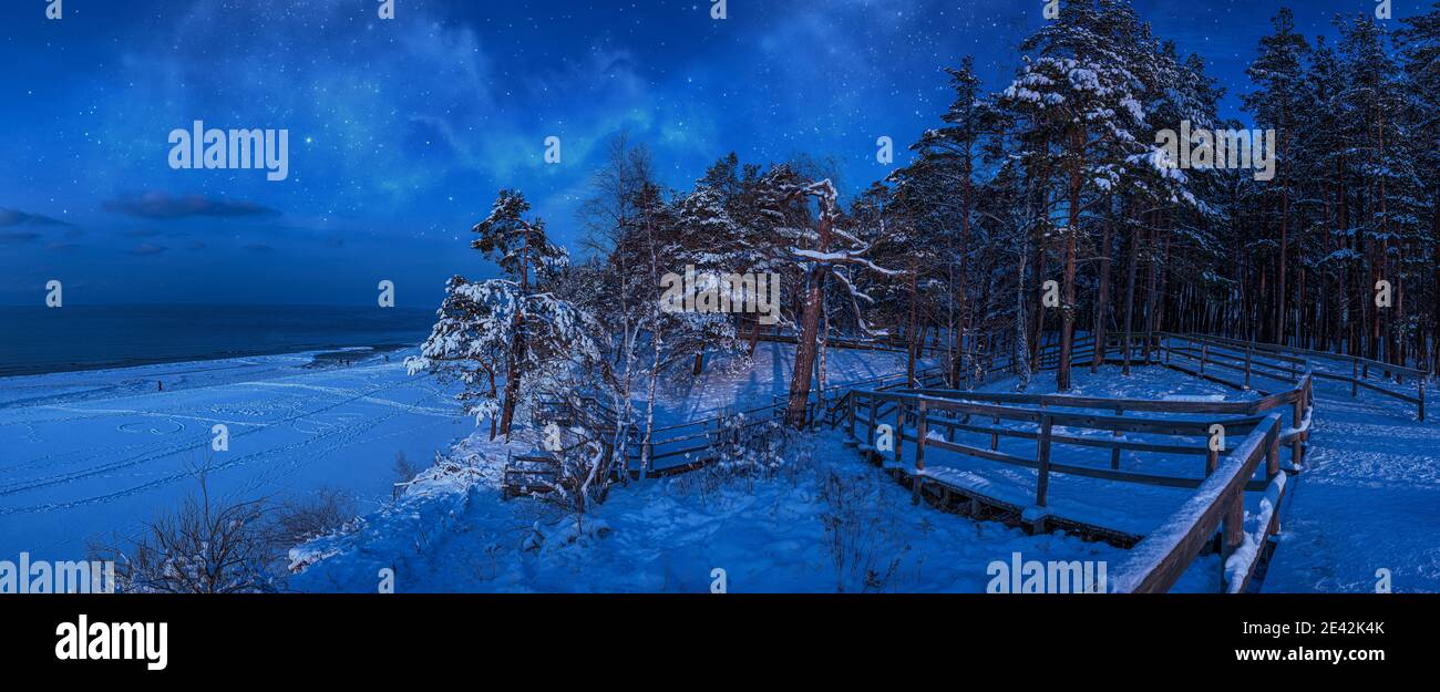 Nighttime winter scene with snow covered pine forest in a moon light at ...