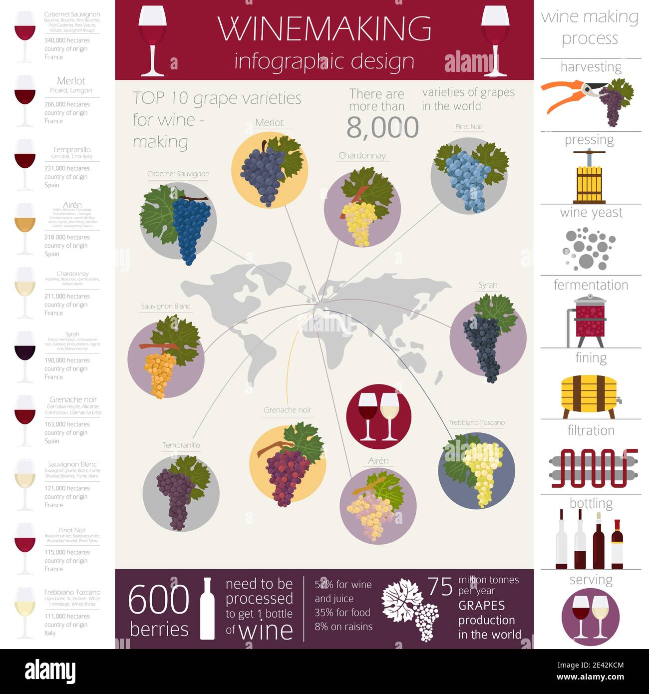 Grapes varieties for wine. Winemaking infographic. Vector illustration Stock Vector Image & Art ...