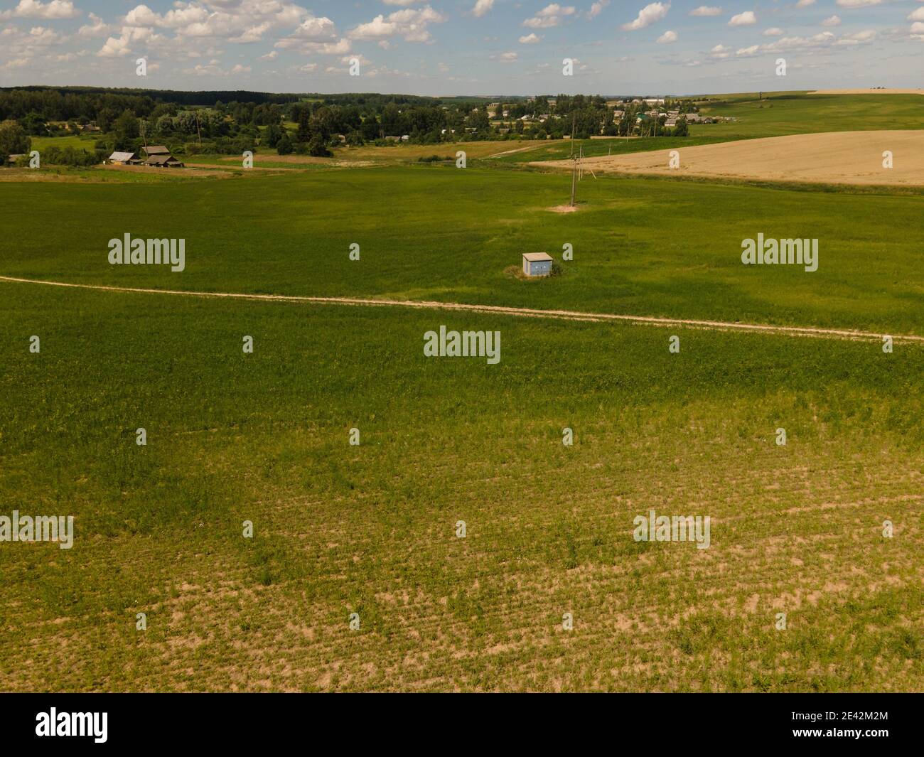 View from a flying drone, a field with green grass on a summer day ...
