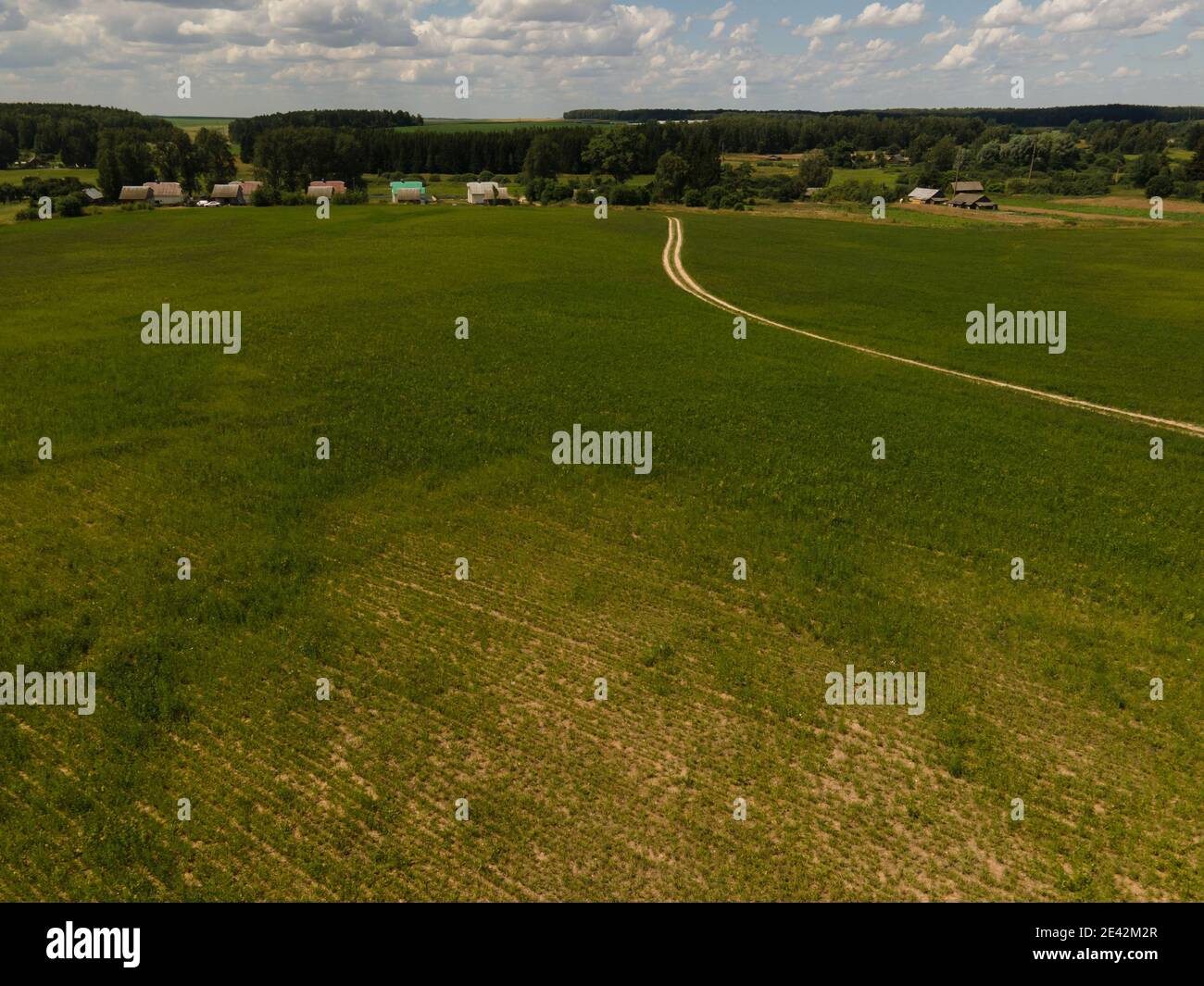 View from a flying drone, a field with green grass on a summer day ...