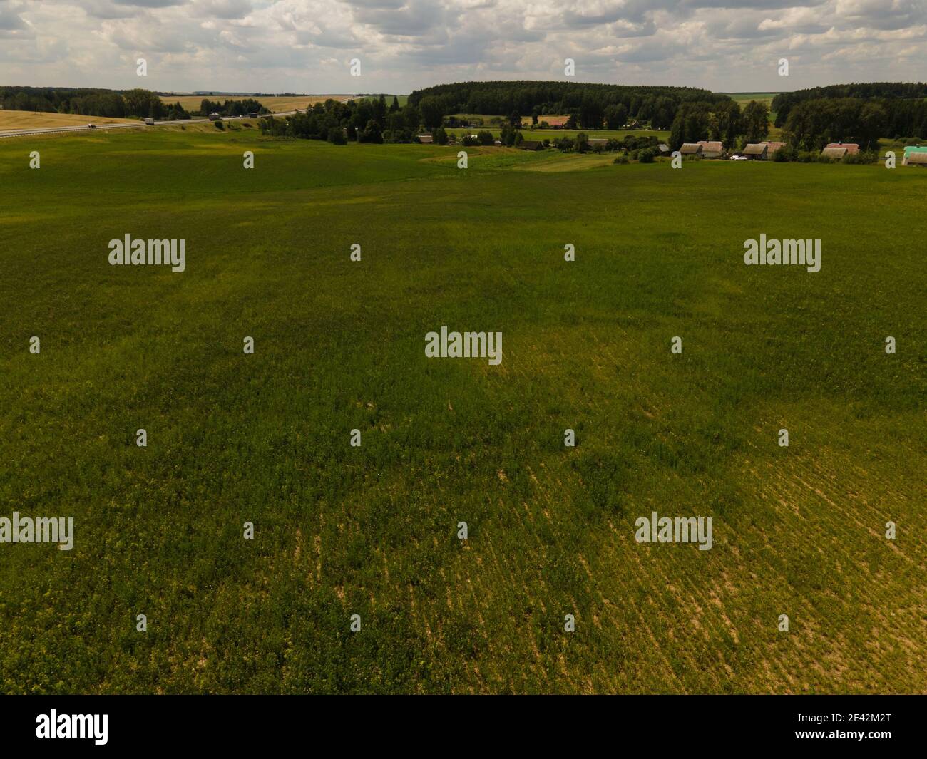 View from a flying drone, a field with green grass on a summer day ...