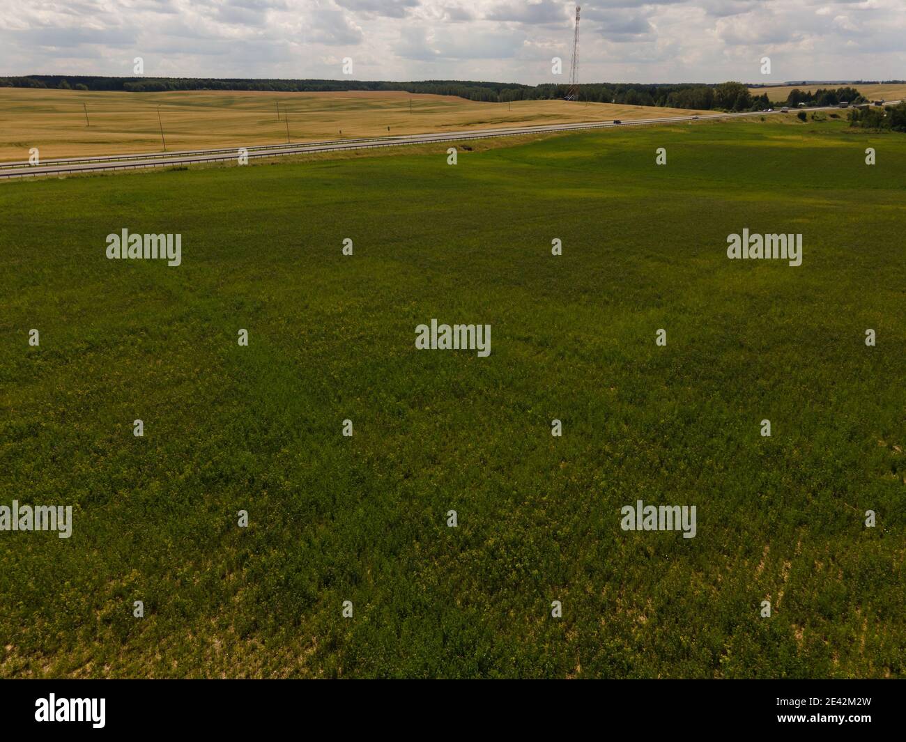 View from a flying drone, a field with green grass on a summer day ...