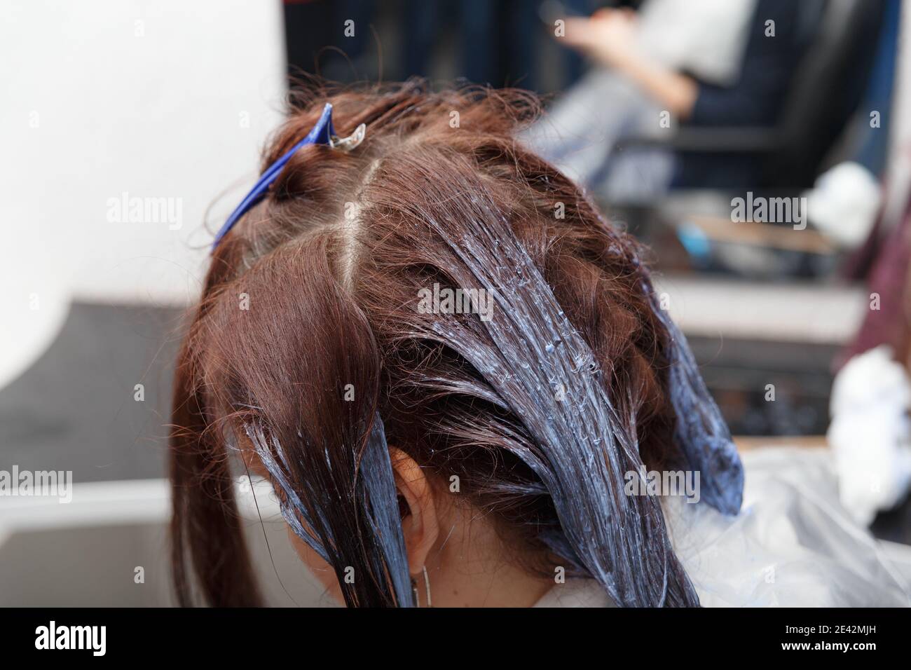 Hairdresser salon. Hair colouring in process. Woman dyeing hairs in ...