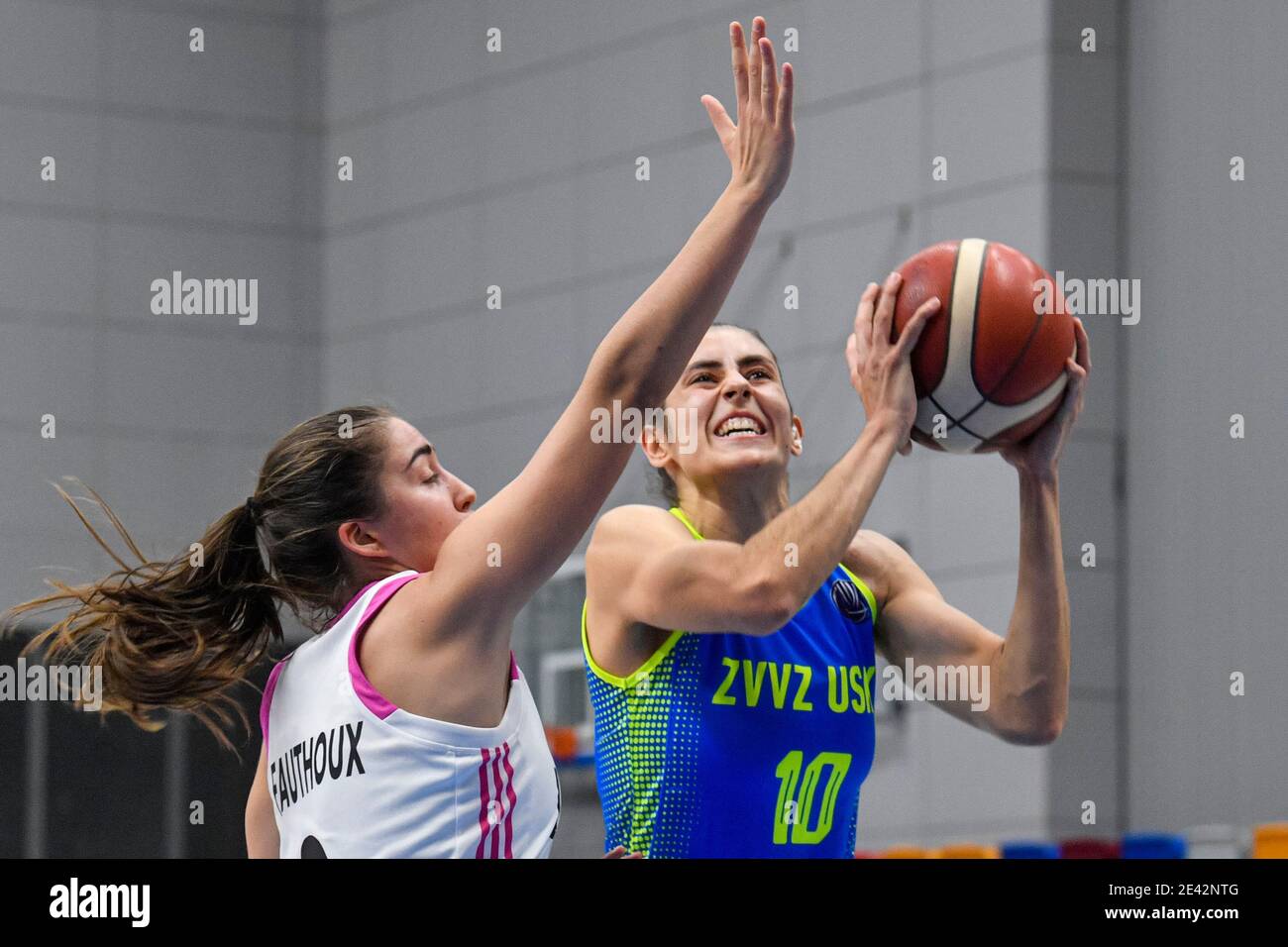 Conde lyon hi-res stock photography and images - Alamy