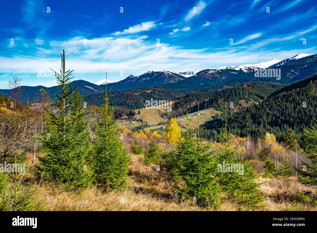 Beautiful colorful forests covering the Carpathian mountains and a ...