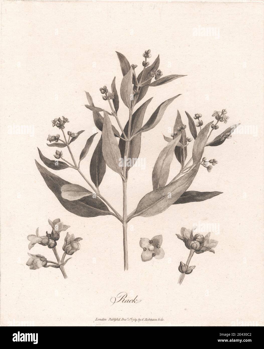 James Heath, 1757â€“1834, British, Rack 1789, 1789. Engraving Stock ...