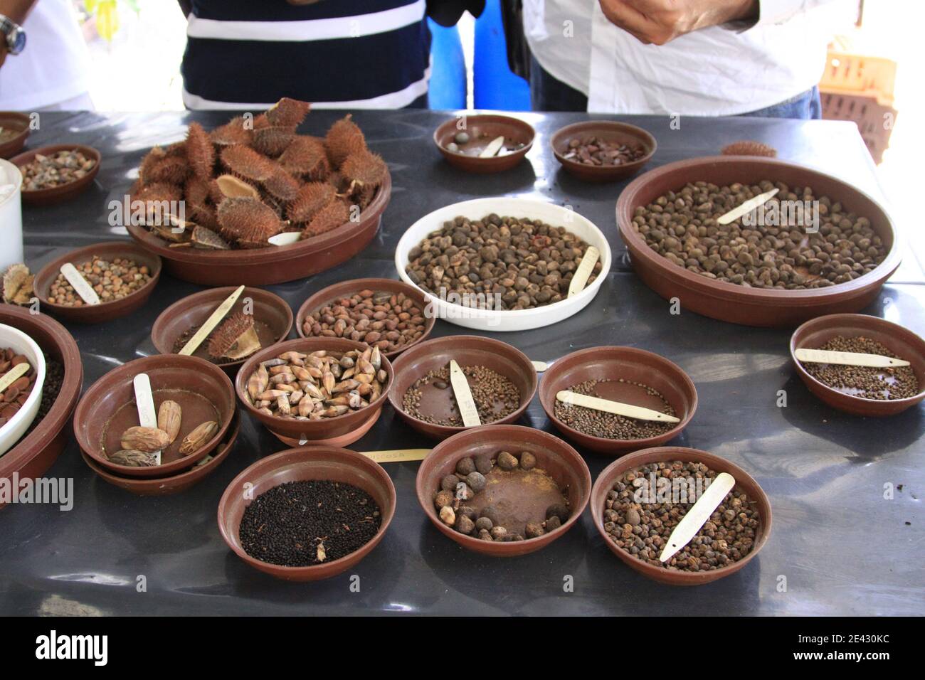 Indian ocean mascarene hi-res stock photography and images - Alamy