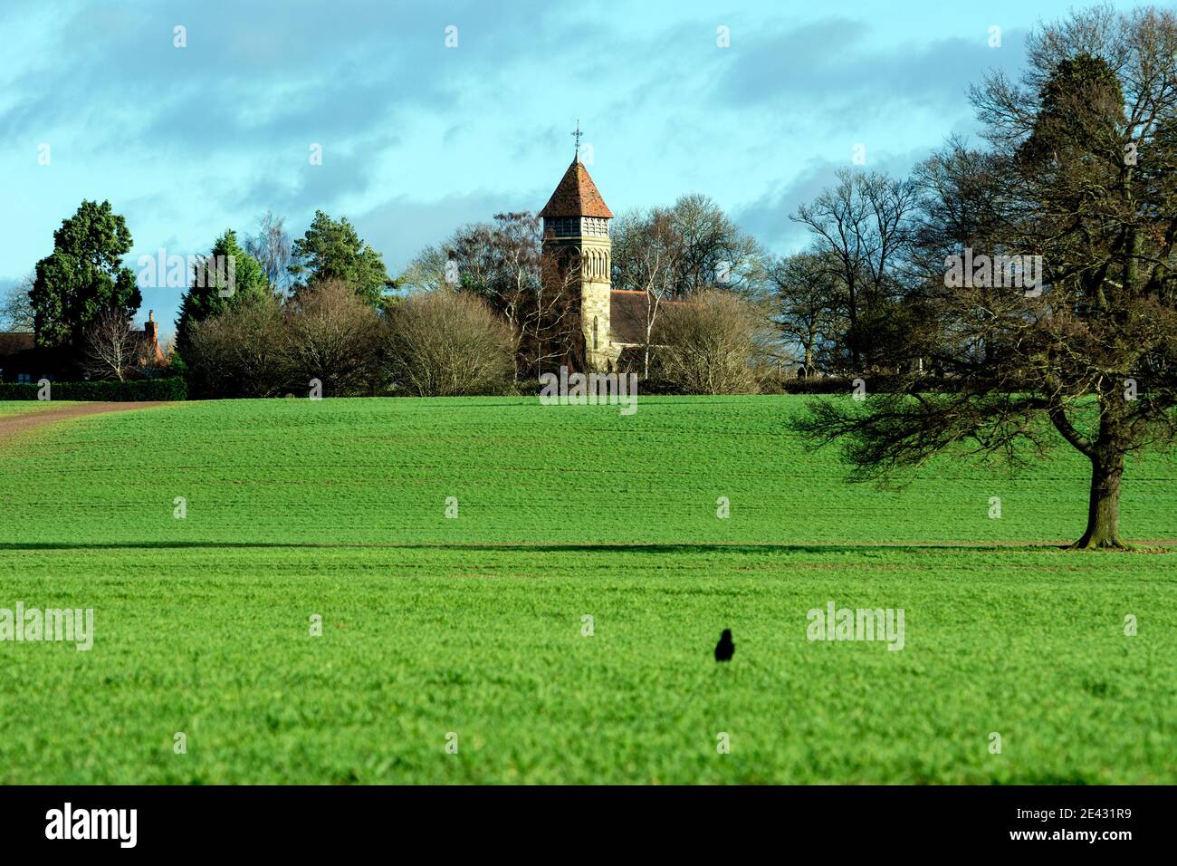 View towards St. James the Great Church in winter, Old Milverton, from ...