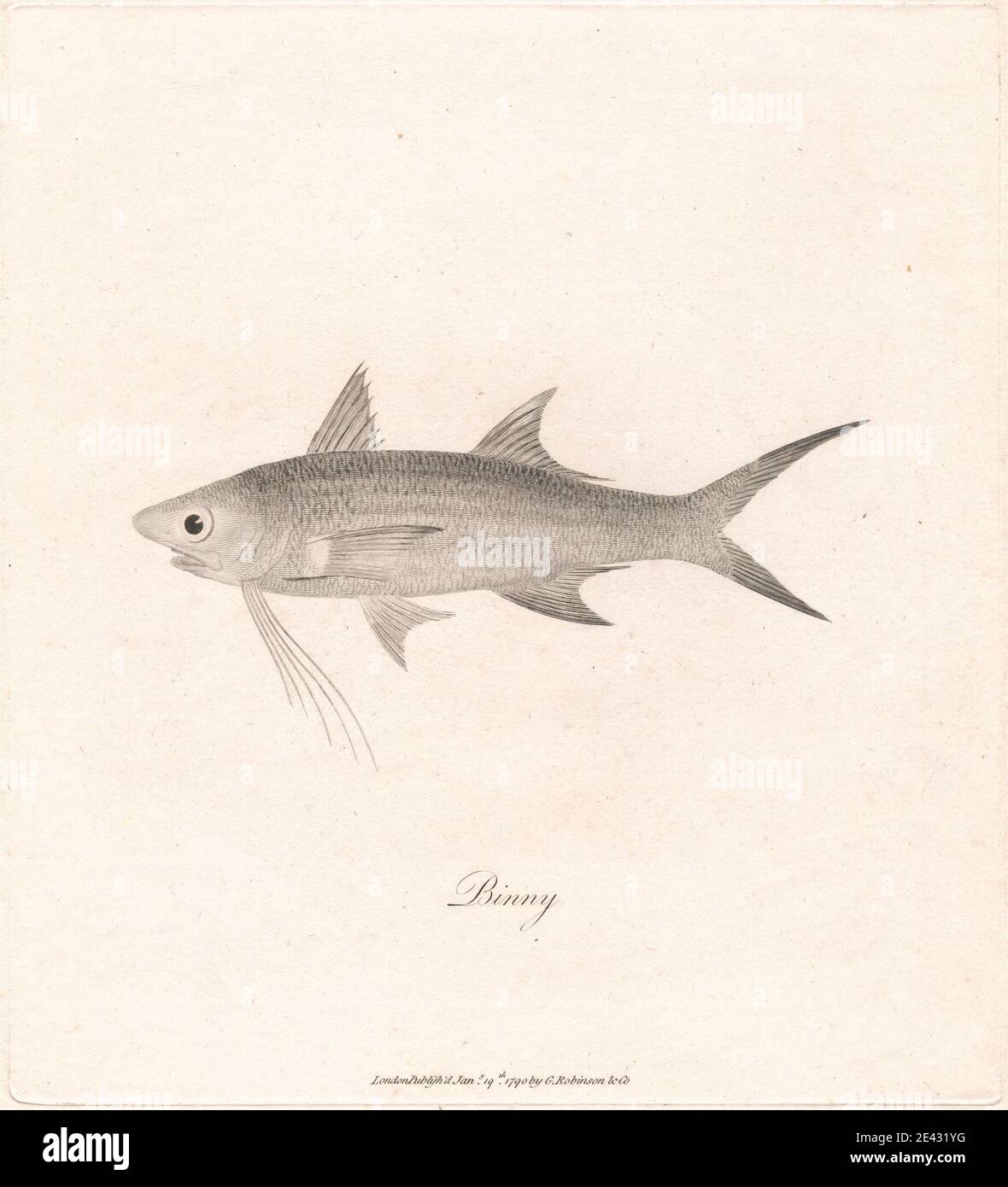 Scottish countryside engraving hi-res stock photography and images - Alamy