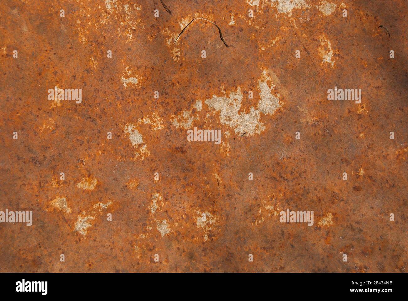 Rusty weathered tin surface closeup as grunge metal background Stock ...