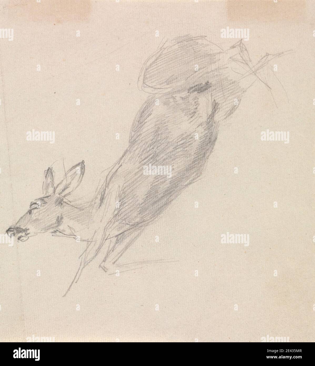 Sawrey Gilpin, 1733â€“1807, British, Study of a dead deer, undated ...