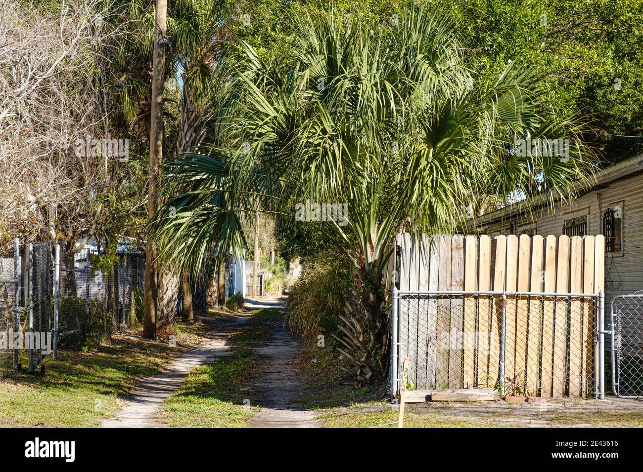 Alley - Hyde Park, a gentrified neighborhood in, Tampa, Florida Stock ...