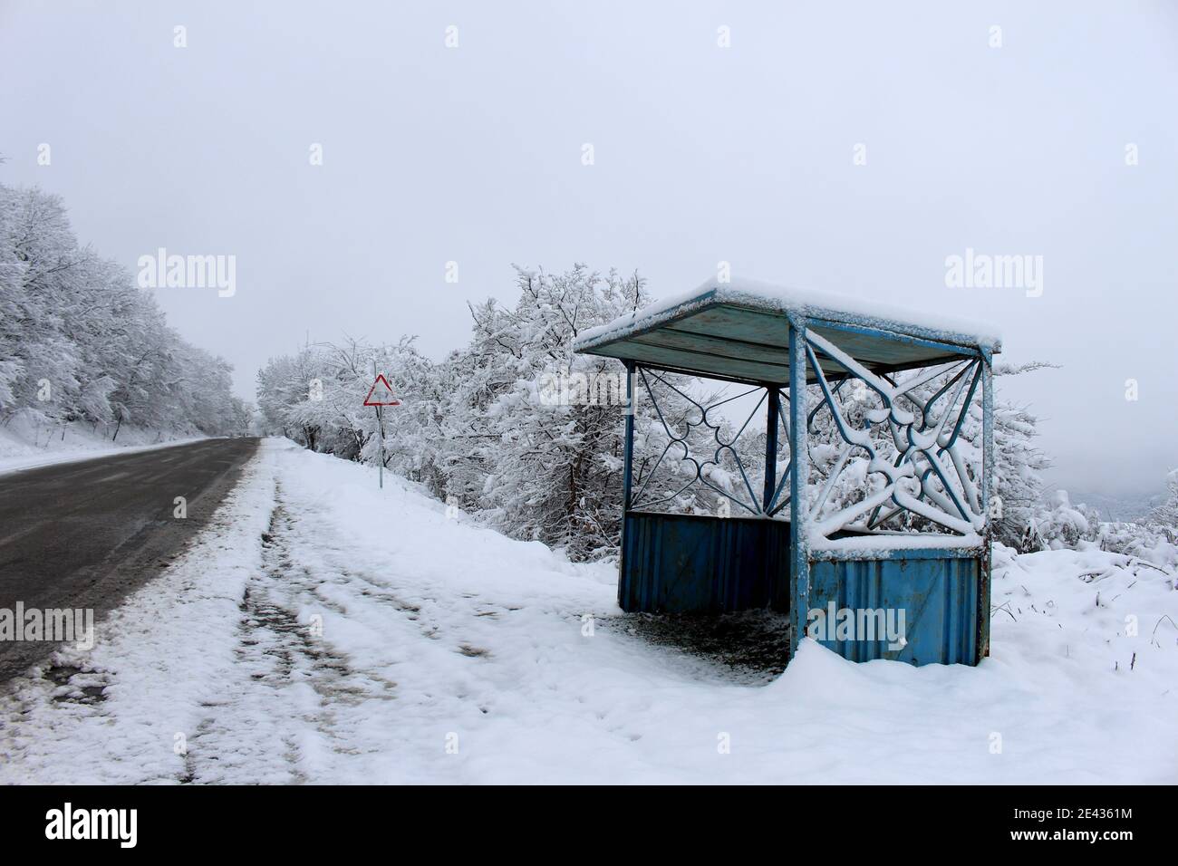 Bus driving through forest hi-res stock photography and images - Alamy