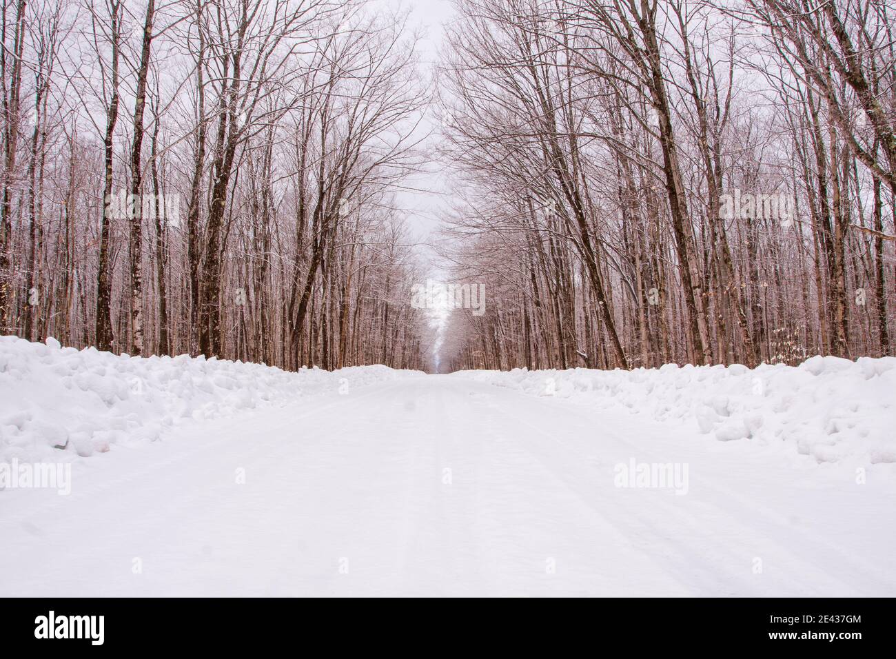 Michigan upper peninsula snow hi-res stock photography and images - Alamy