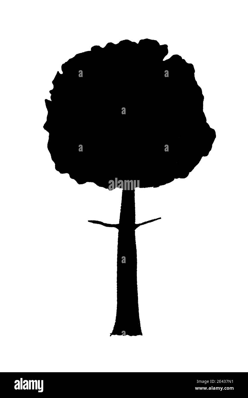 Tree shape vector illustration. Isolated hand-drawn tree silhouette ...